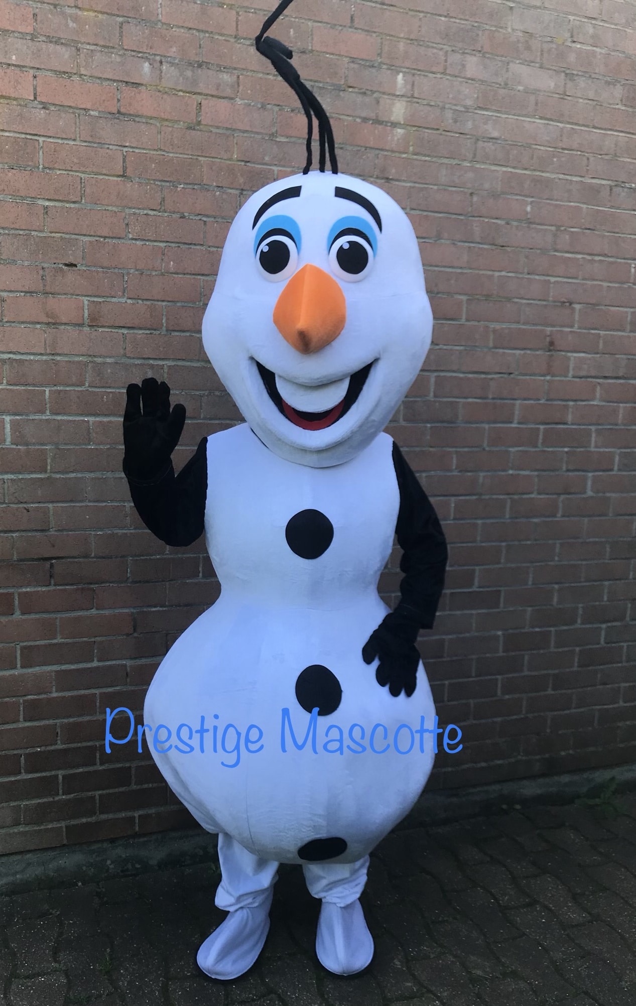 Mascottes classiques - Prestige Mascotte - Hauts-de-France