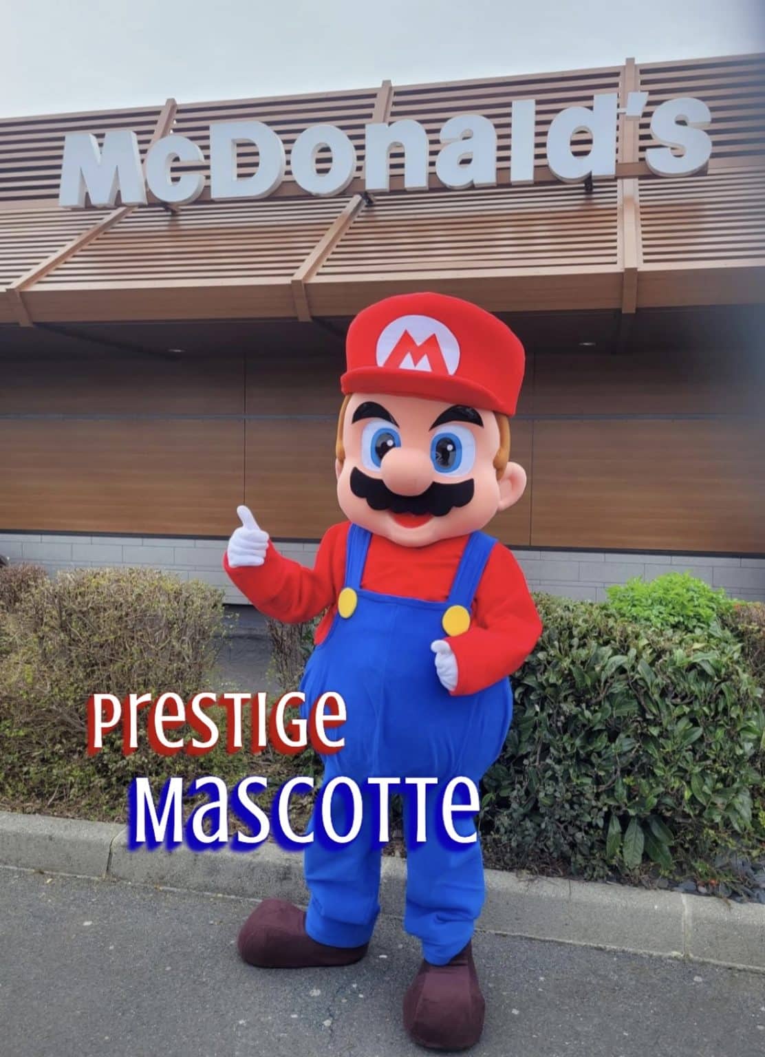Mascottes prestiges - Location et animation de mascottes de qualité